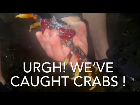 Back in Blighty; channel update and some night (wild) life in Lanzerote ...