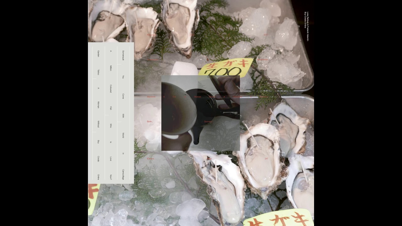 Loke Rahbek & Frederik Valentin - Who is Love Now? [Editions Mego ...