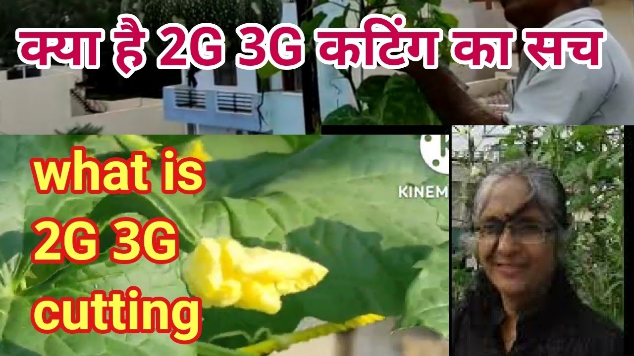 what is 2G 3G cutting - YouTube