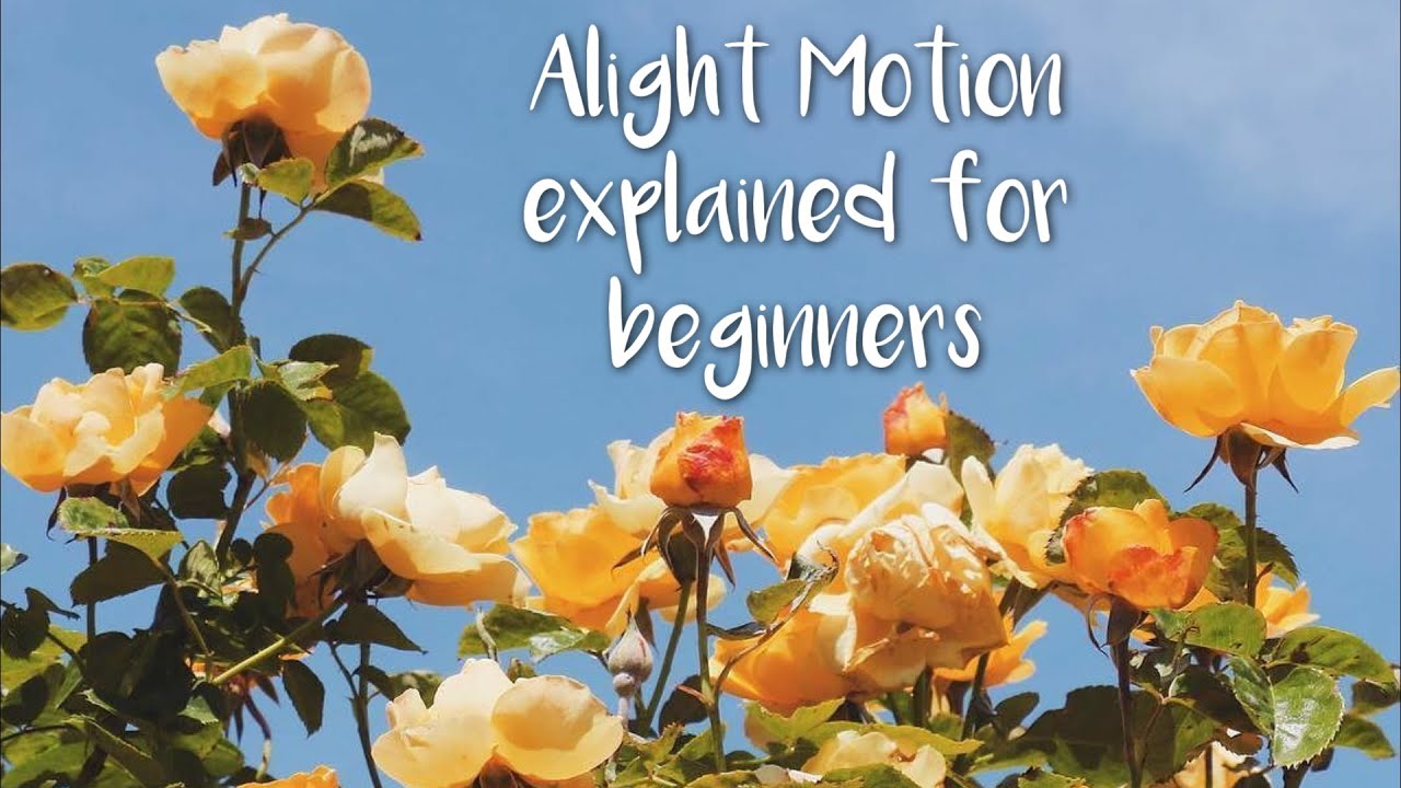 Alight Motion explained for beginners // fullxmoon.edits - YouTube