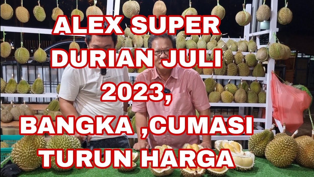 ALEX SUPER DURIAN JULI 2023, MELIMPAH, CUMASI TURUN HARGA - YouTube