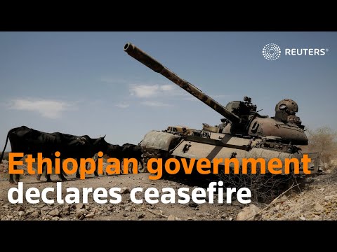Ethiopian government declares ceasefire