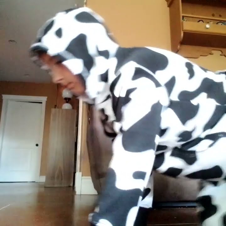 moo - YouTube