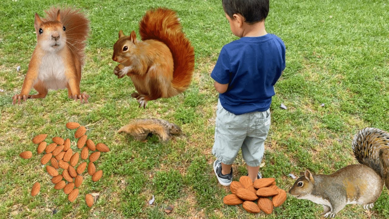 Feeding SQUIRRELS at the park. Fun video for kids - YouTube