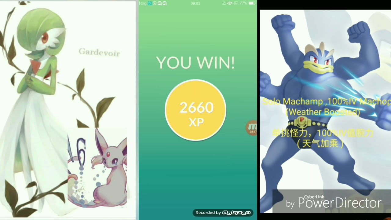 Solo Machamp, 100%IV Machop (Weather Boosted) 单挑怪力，100%IV值腕力 (天气加乘 ...