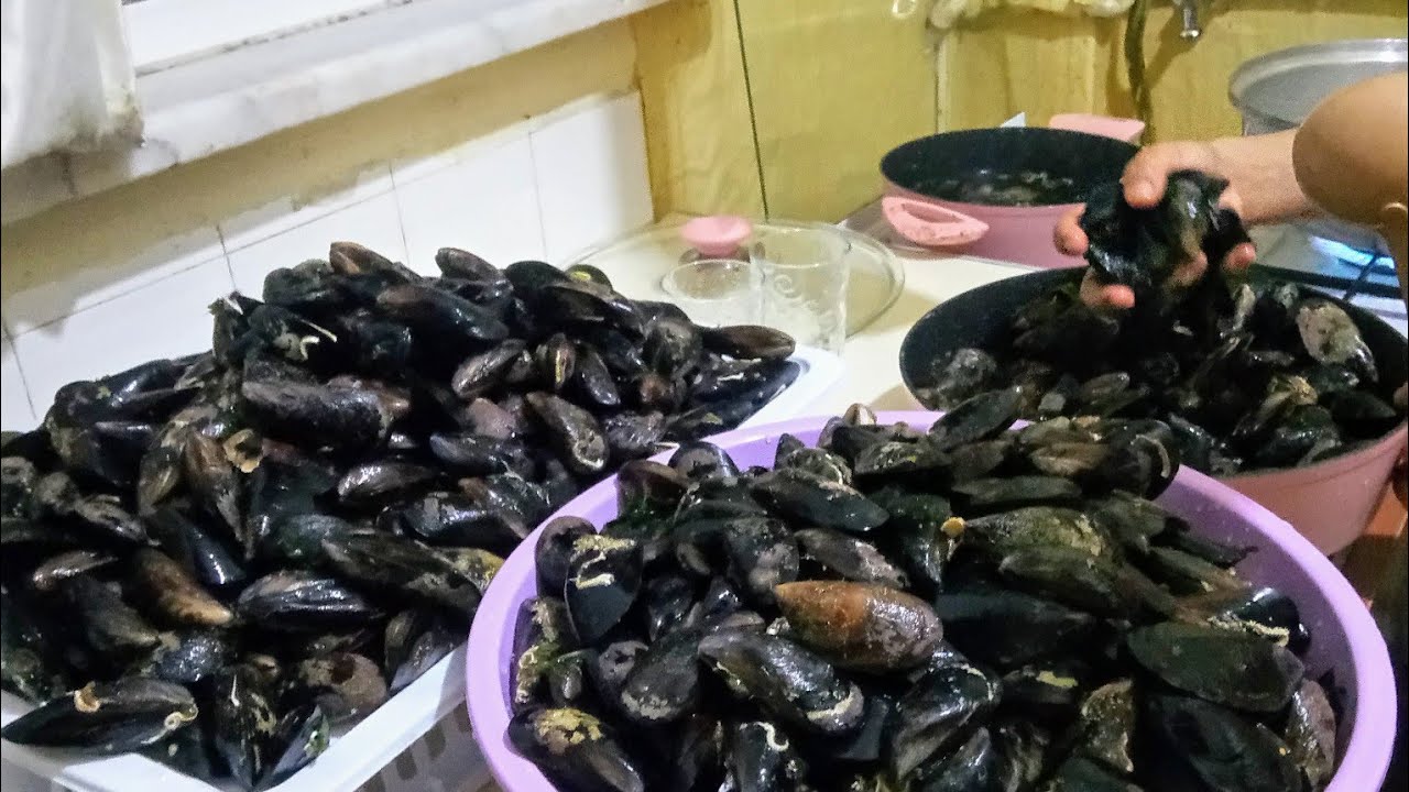 How Rich of mussels in sea(tahong) here in Turk.| MJ Revoslife - YouTube