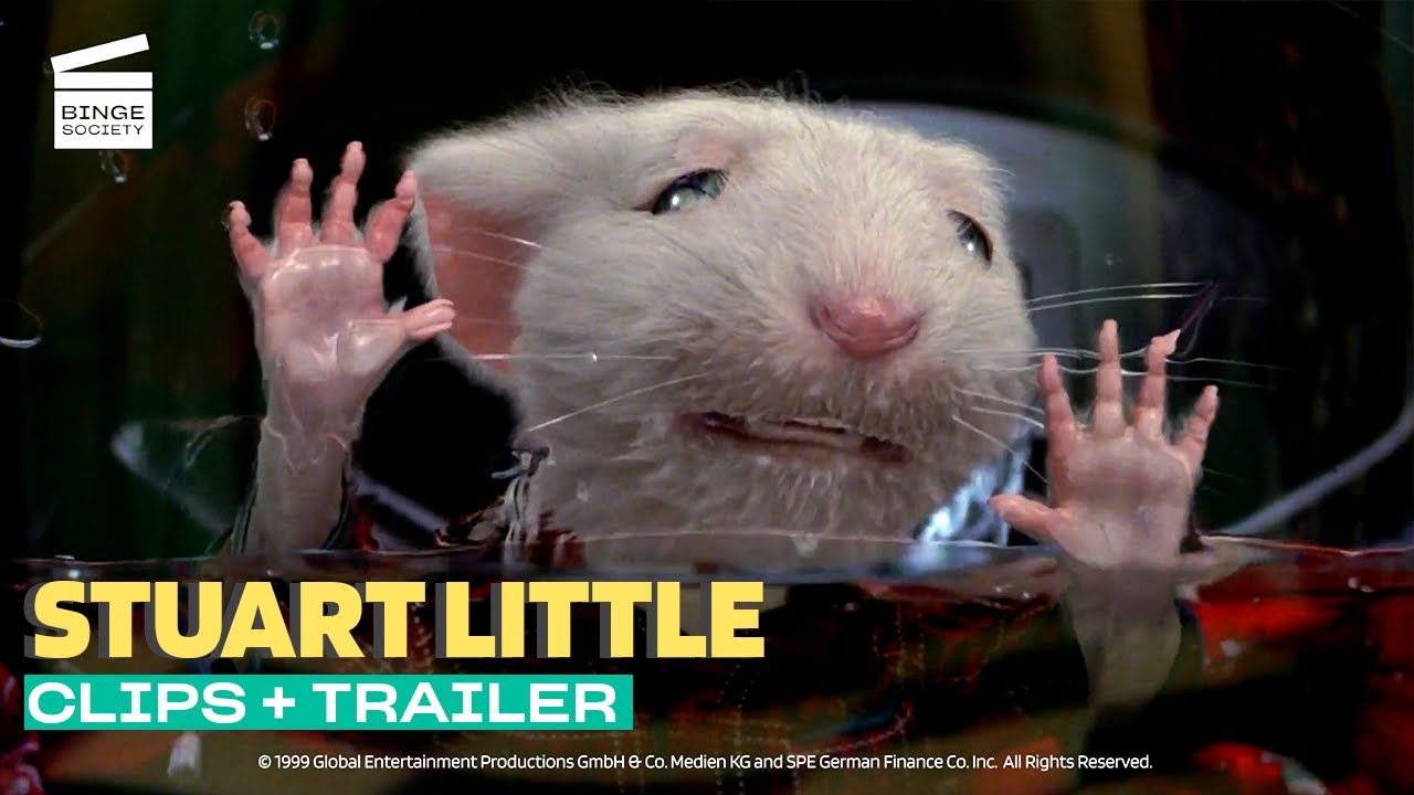 Stuart Little Best Moments & Trailer (HD) - YouTube