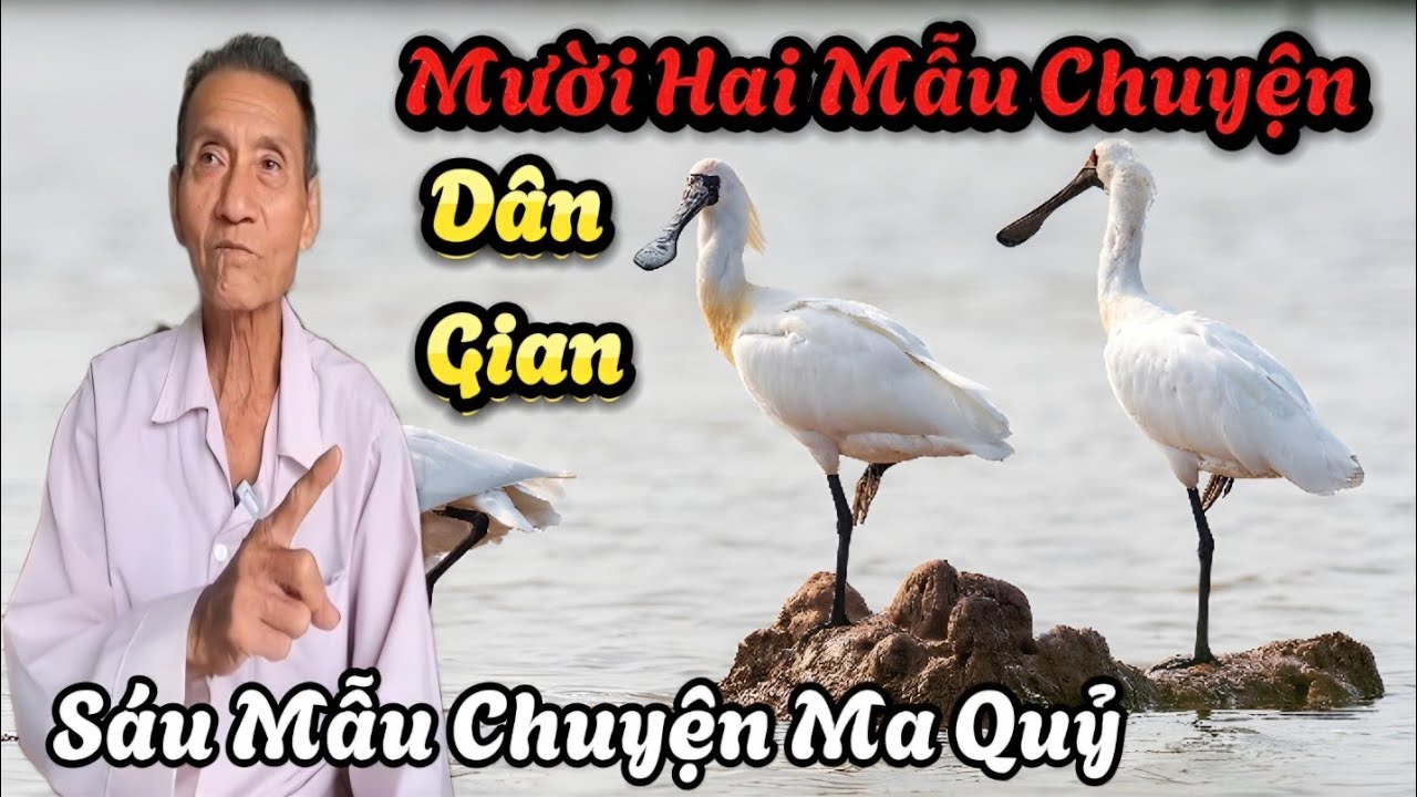 Mười Hai Mẫu Chuyện Dân Gian,Sáu Mẫu Chuyện Ma Quỷ... - YouTube