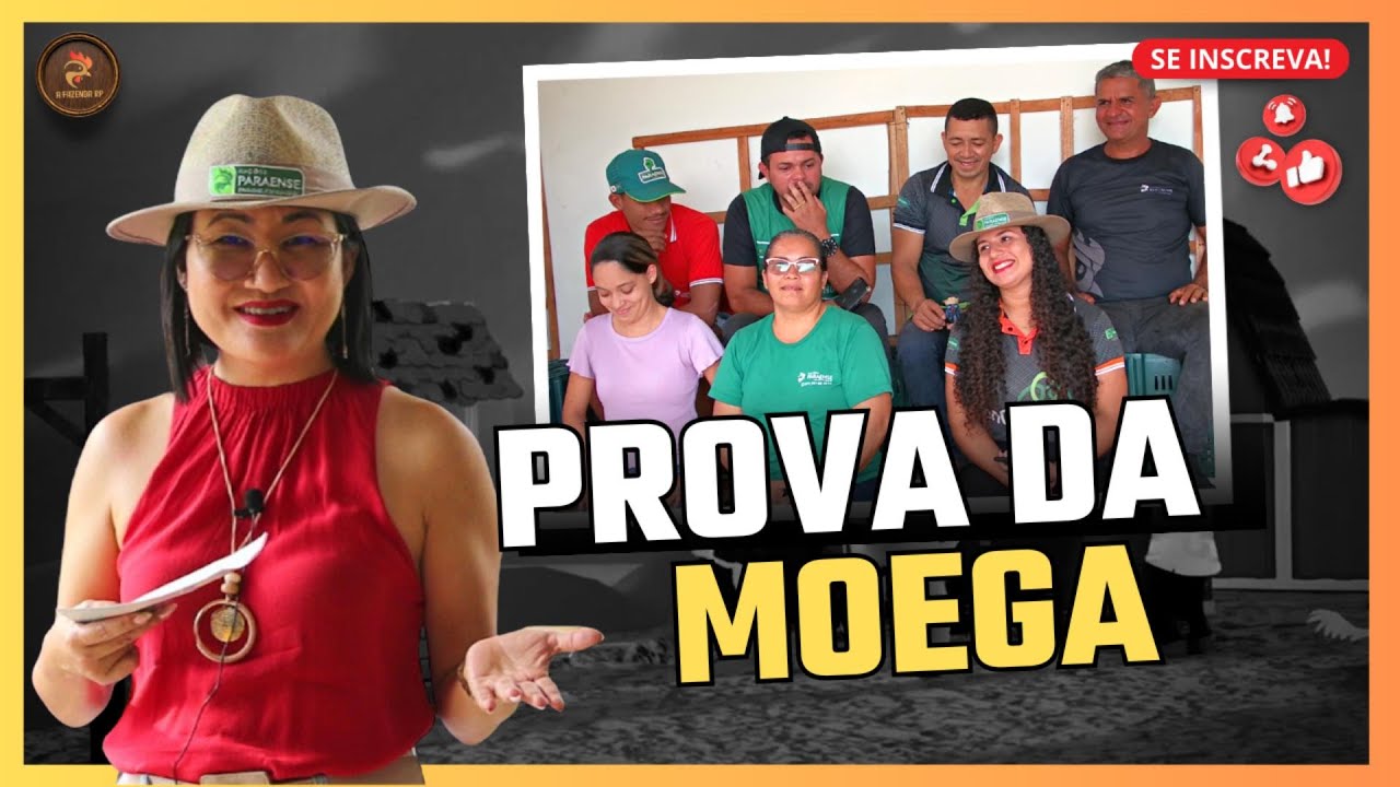 A Fazenda RP: Prova da Moega 6# - YouTube