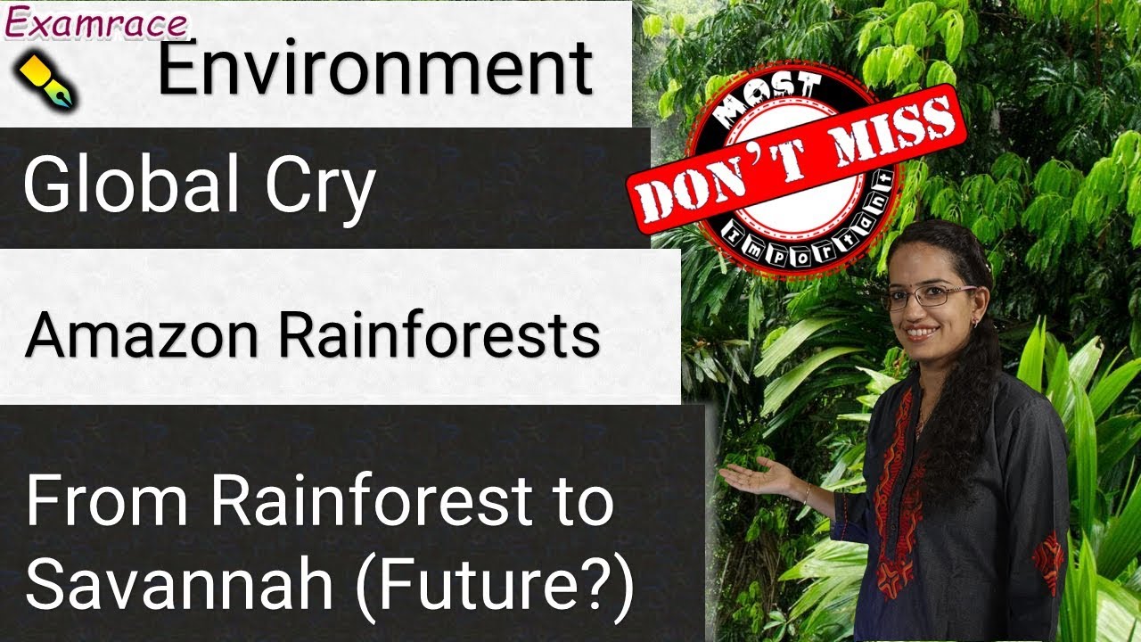 Amazon Rainforest: Present & Future: From Rainforest to Savannah ...