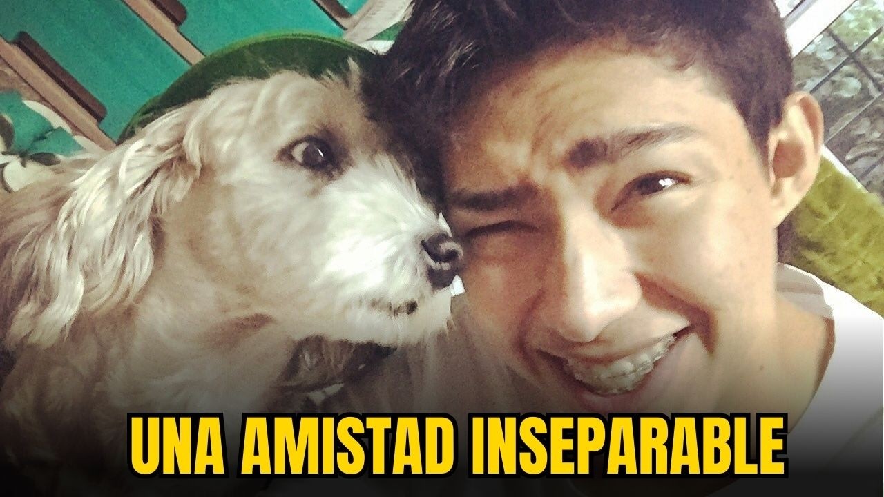6 CURIOSIDADES DE CURLY, EL AMIGO INSEPARABLE DE FERNANFLOO - YouTube
