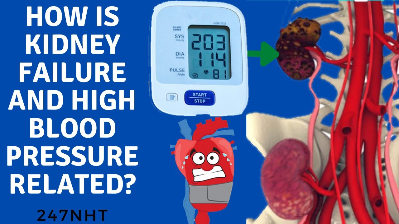How Is Kidney Failure High Blood Pressure Related How Is Kidney Failure High Blood Pressure Related