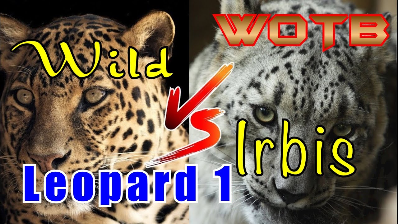 LEOPARD 1 WILD & IRBIS 🐆 - WOTB World Of Tanks Blitz Commentary | YOUR ...