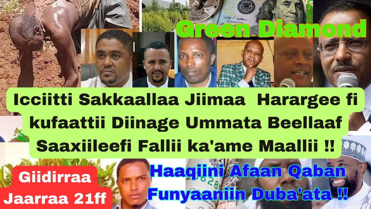 Icciitti Sakkaallaa Jiimaa Harargee fi kufaattii Diinage Ummata ...