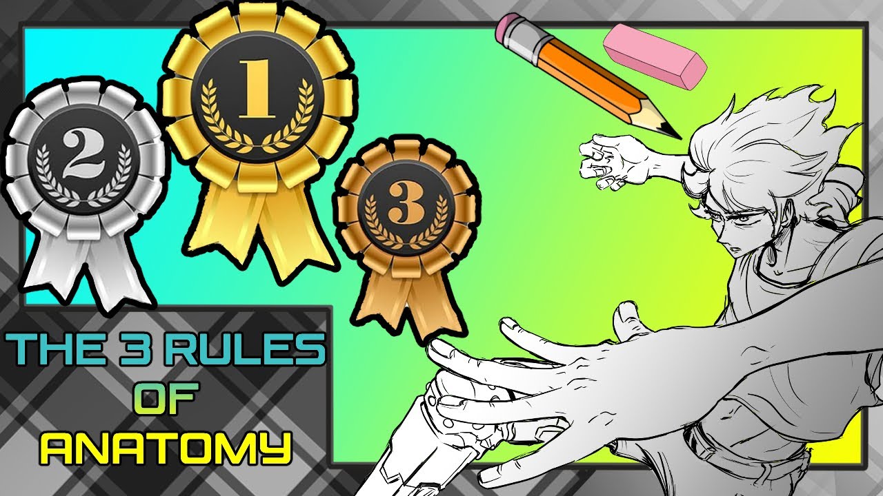 Anatomy Drawing Rules at Christopher Stafford blog