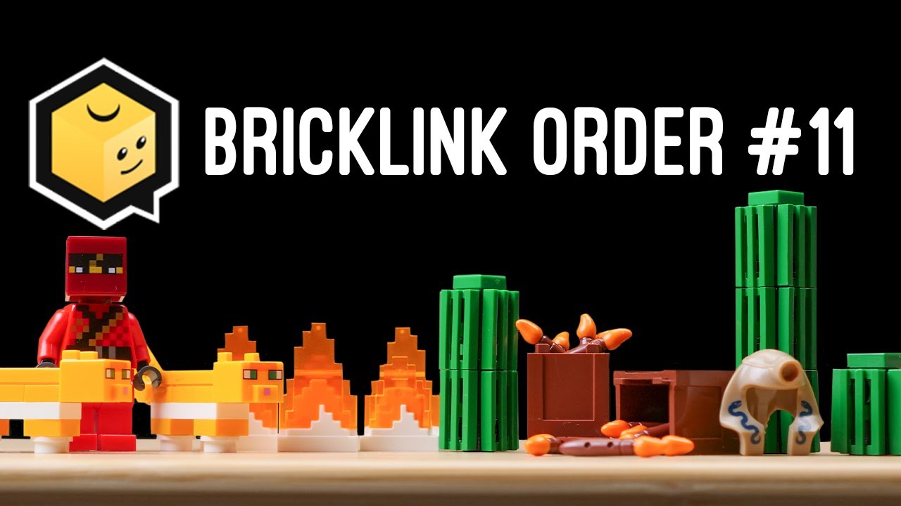 BrickLink Order #11 - Preparing for the Village Raid - YouTube