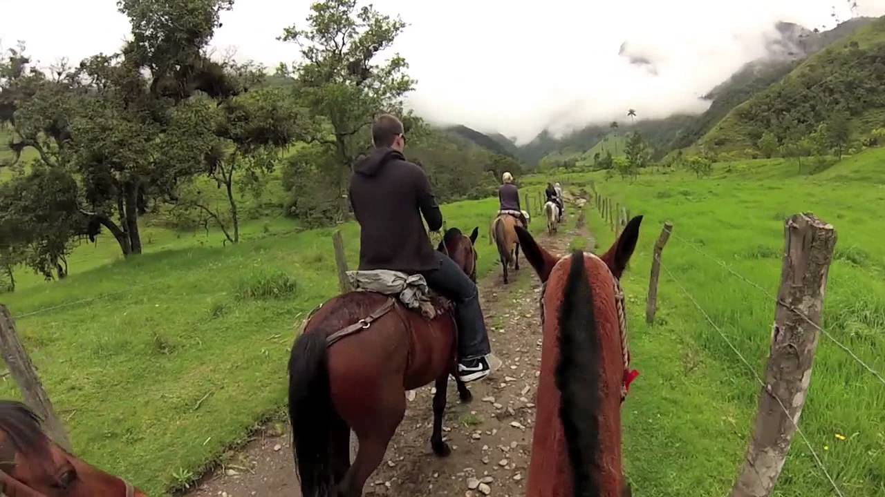 Horse Riding in Colombia - Valle De Cocora Paseo de Caballo - YouTube