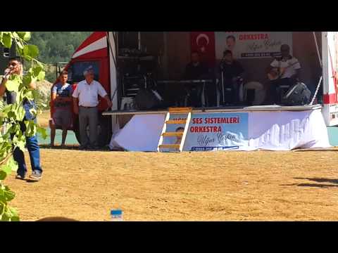 Sururi Önal - Dal Bırakmadın