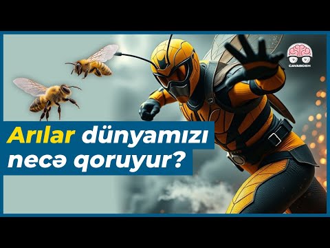 Arılar Haqqında Maraqlı Faktlar