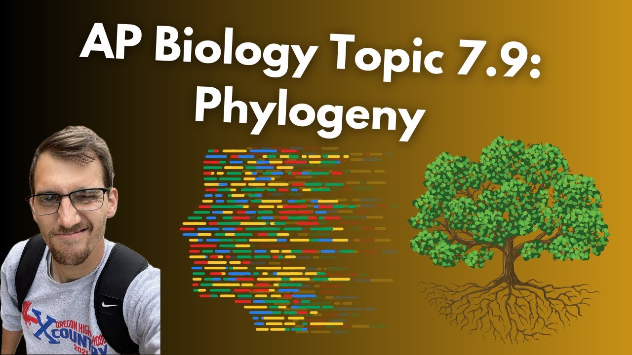 7.9 Phylogeny - AP Biology - YouTube