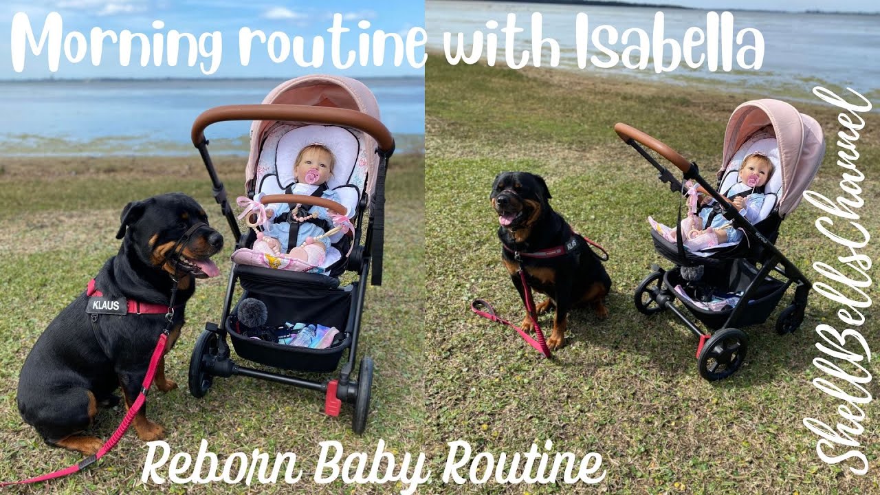 Morning Routine W/Reborn Baby Isabella| SHELLBELLS CHANNEL - YouTube