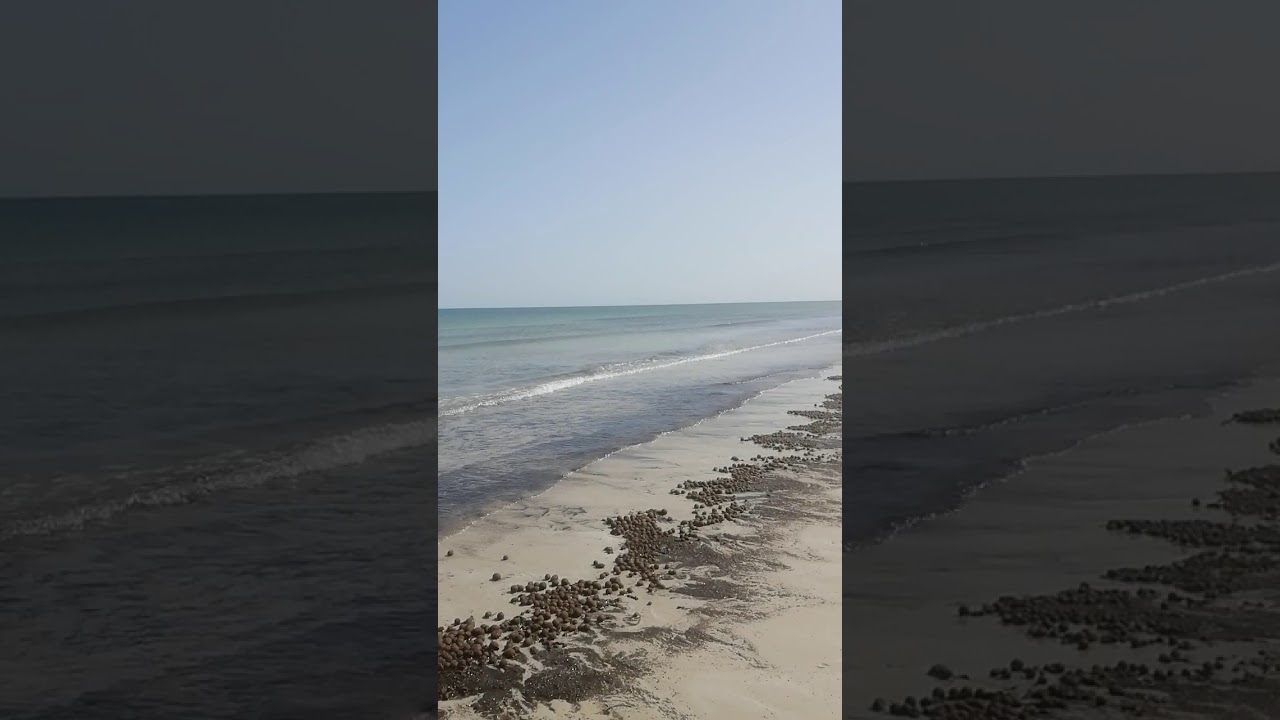 Visite à la plage de Gabes le 15 octobre 2020 - YouTube