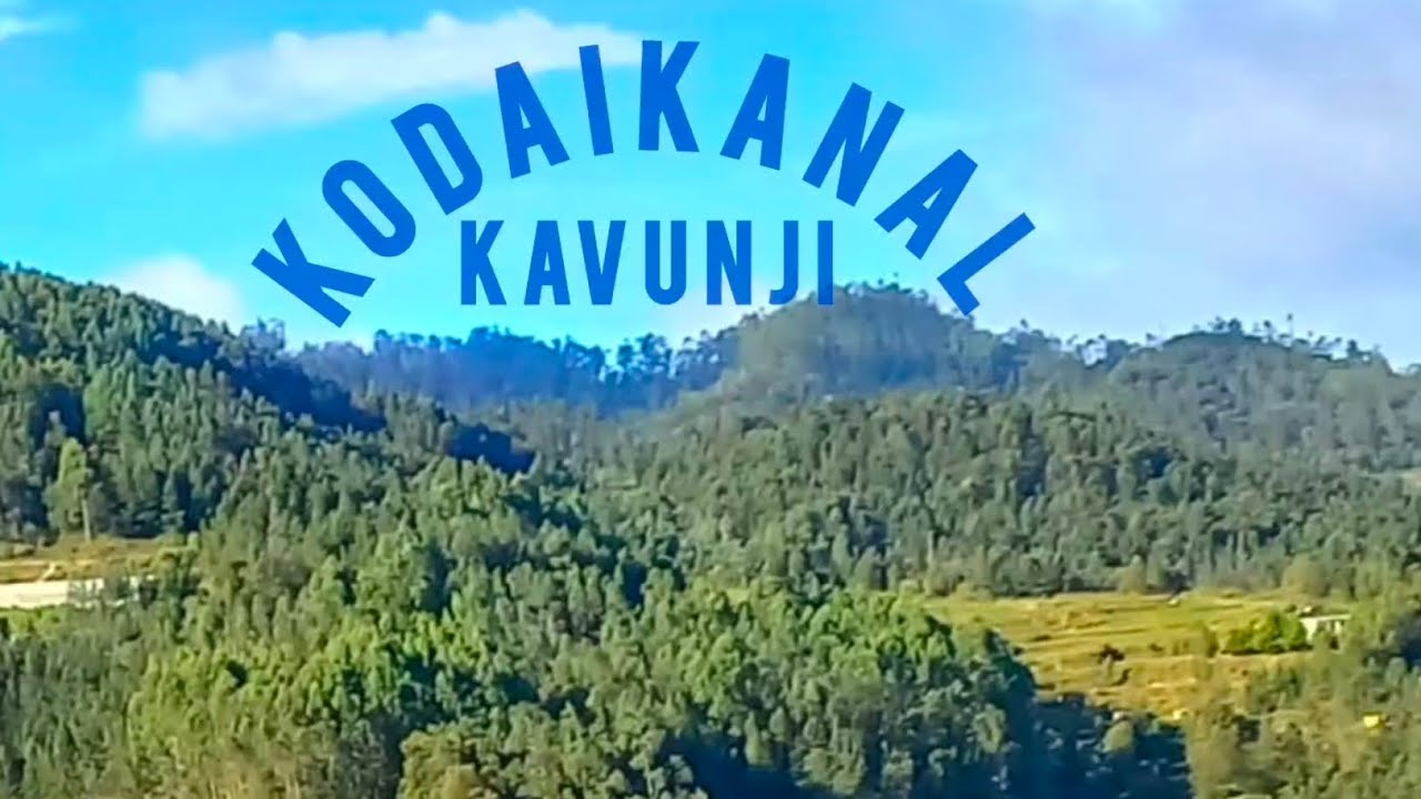 Kodaikanal /Popular place to visit / Kavunji கொடைக்கானல் பார்க்க ...