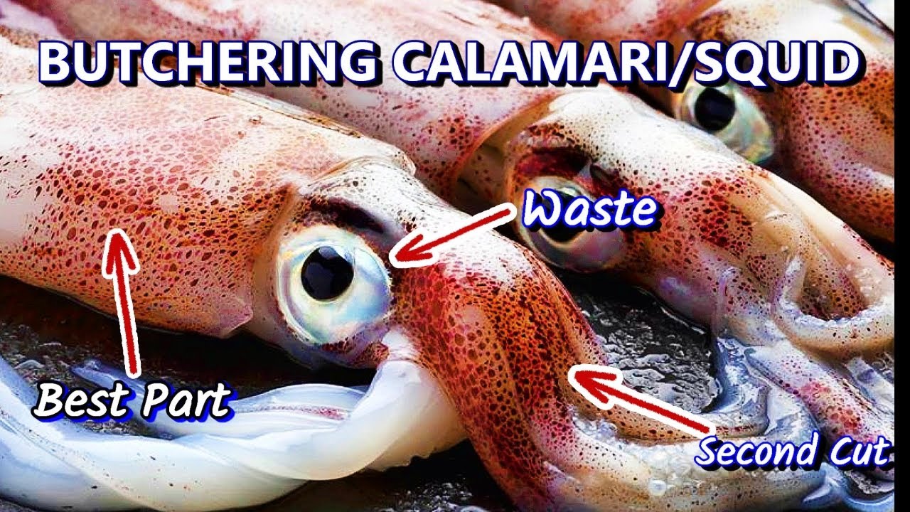 Elevate Your Calamari Prep | Mastering The Techniques of Fine Cooking ...