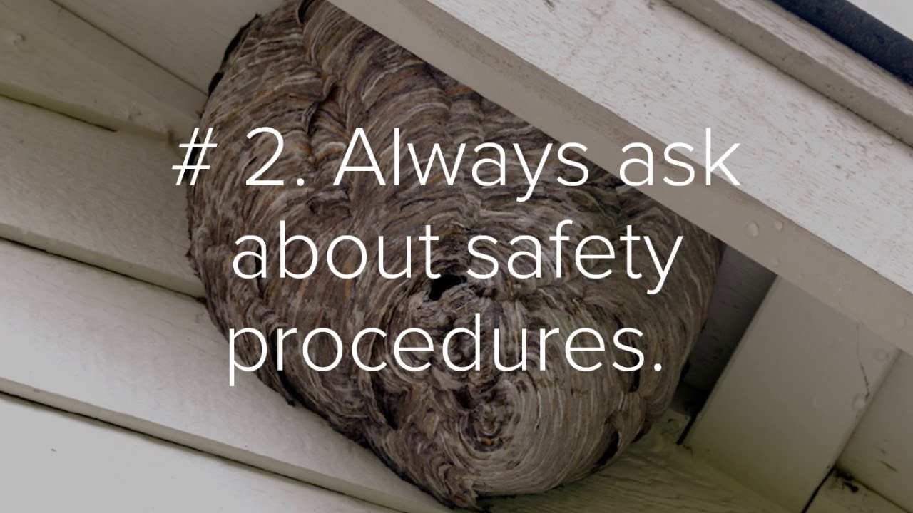 Riverside Pest Control Main video - YouTube