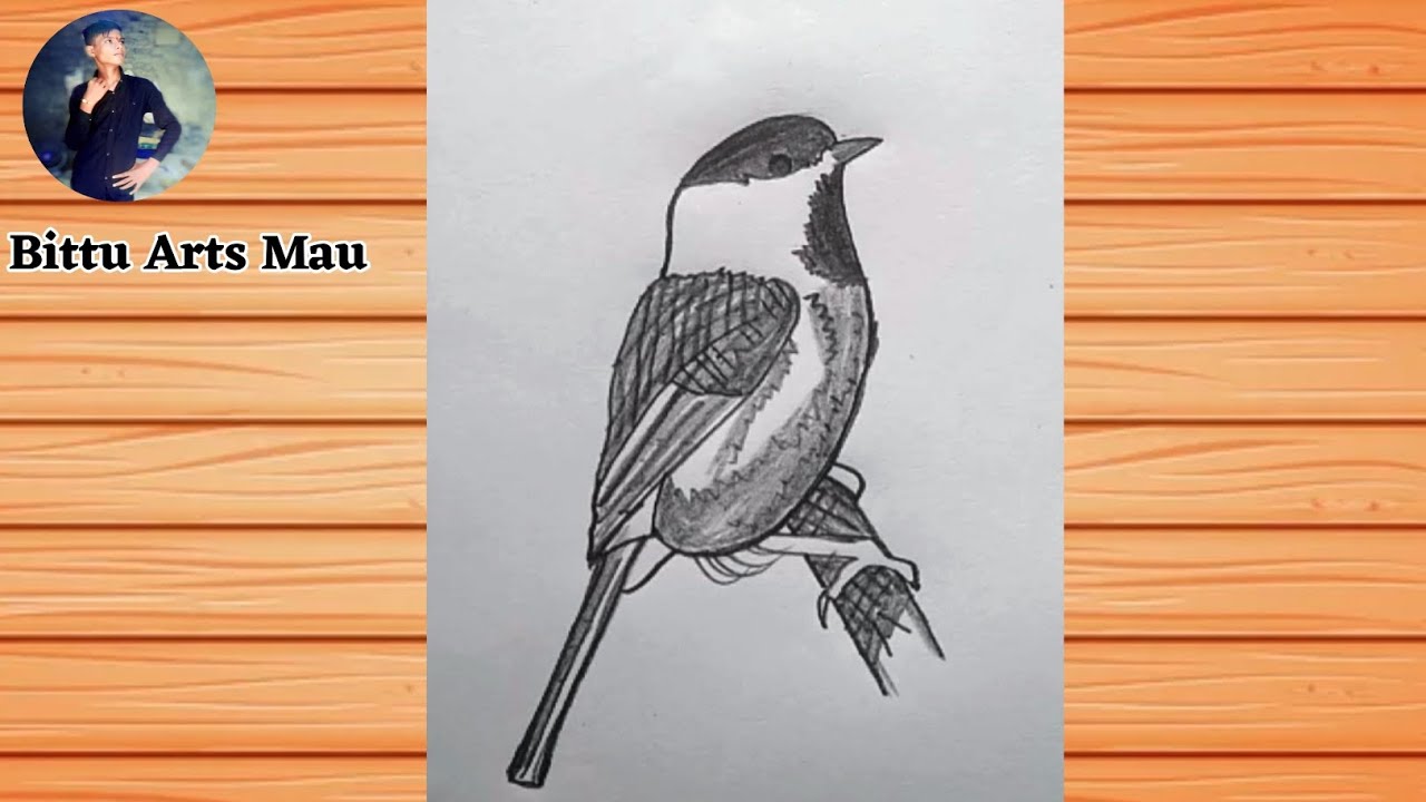 how to draw a dird l very very easy step by step. l so cute 🥰 l artist ...