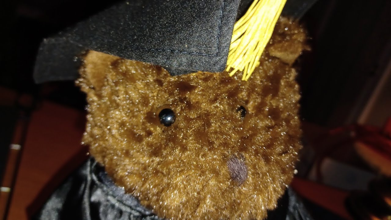Chantilly Lane "Dancing Grad Bear" - YouTube