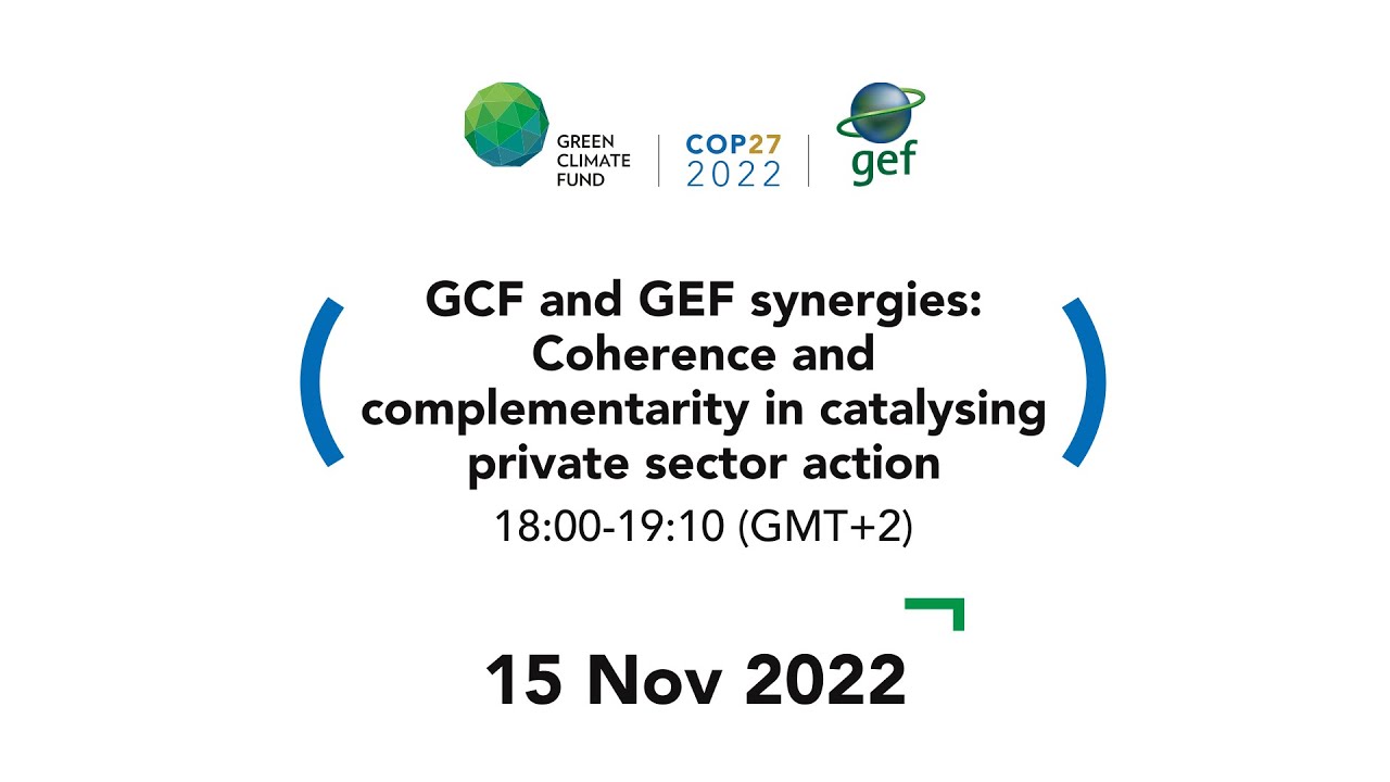 GCF and GEF synergies: Coherence and complementarity in catalysing ...