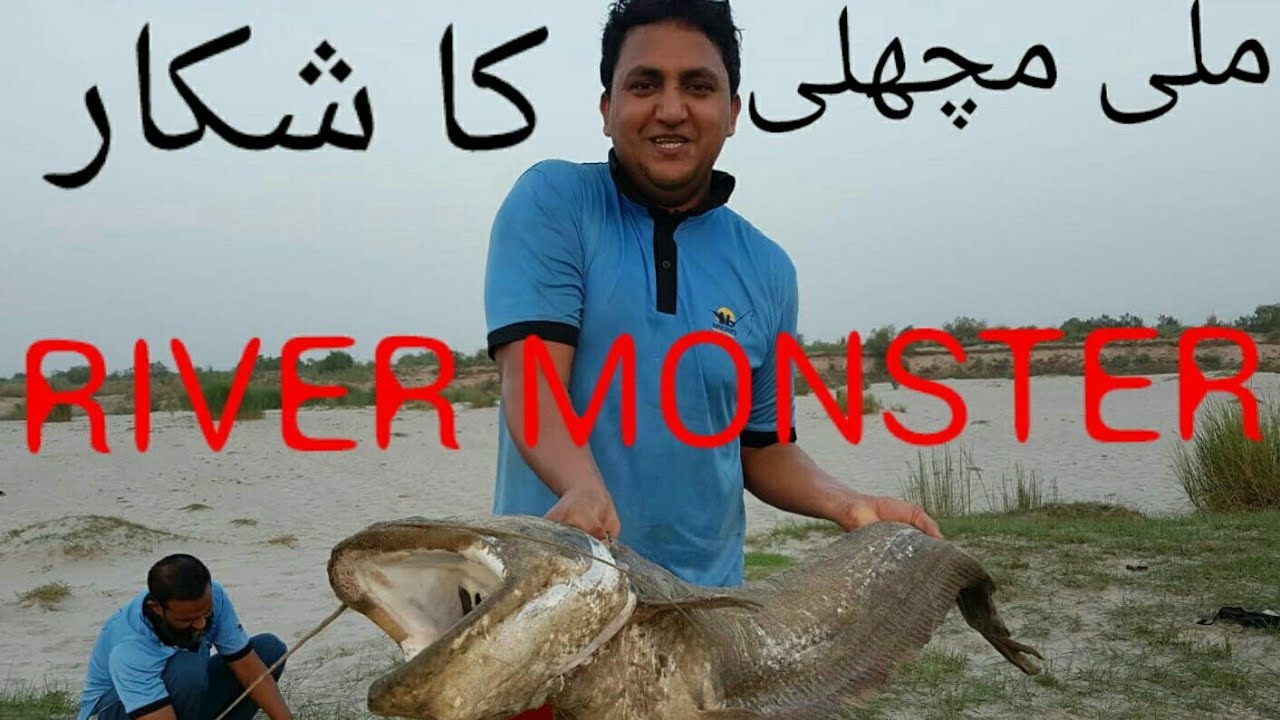 catch mali fish. Fishing in Pakistan by Super Sports kahna nau Lahore ...