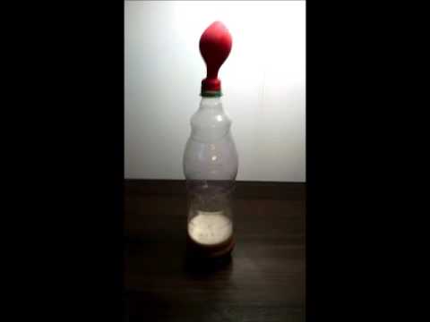Experiment für Kinder Luftballon aufblasen mit Essig und Backpulver ...