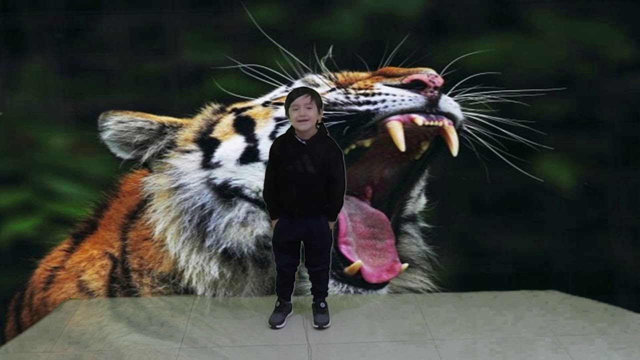 El tigre de los colmillos grandes - YouTube