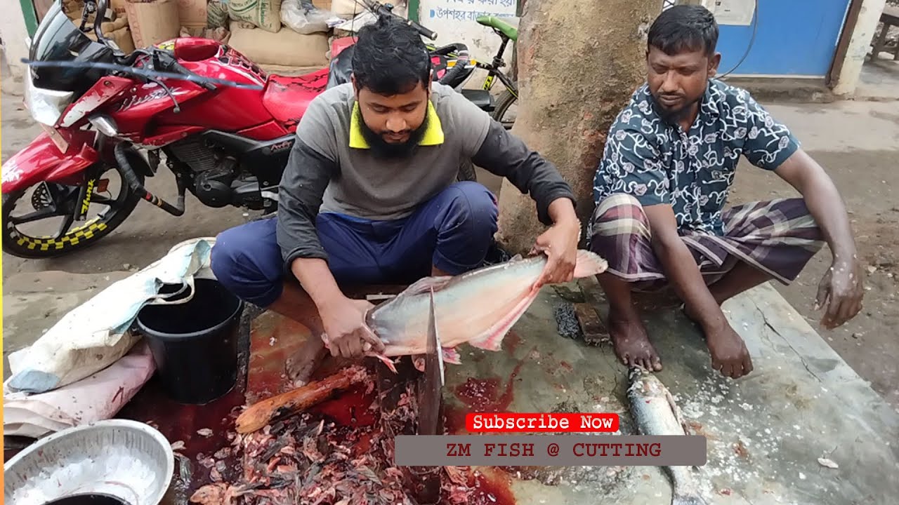 Big Pangas Fish Amazing Cutting Skrill 6kg || ZM Fish & Cutting - YouTube