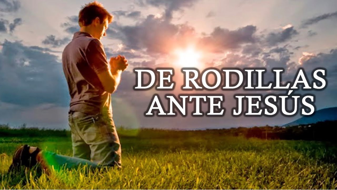 De rodillas ante Jesús. Domingo XXVIII. Marcos 10, 17-30 - YouTube