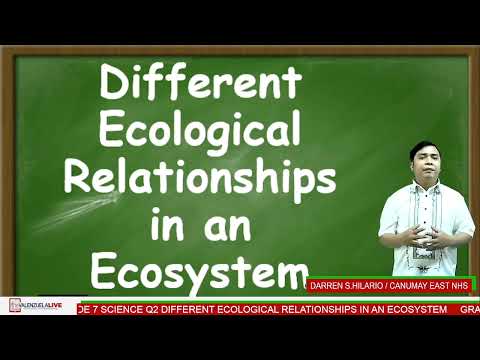 Why Are Ecological Relationships Important In An Ecosystem
