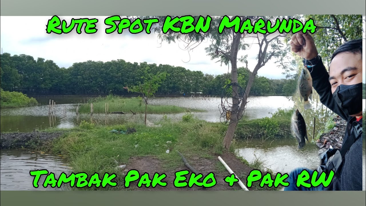 Rute Spot KBN Tambak Pak Eko & Pak RW #mancing #mancingmarunda # ...