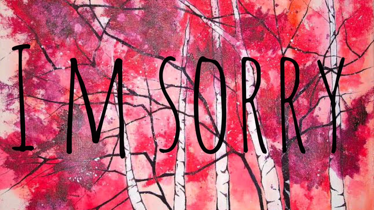 Goodnight, I m sorry // (lyric video) - YouTube