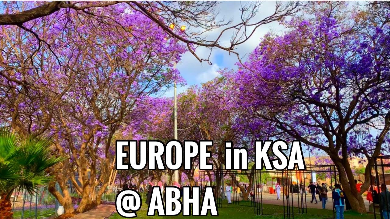 Art street@ ABHA||Beauty of ABHA||Tourist place in ABHA|| LN’s ...