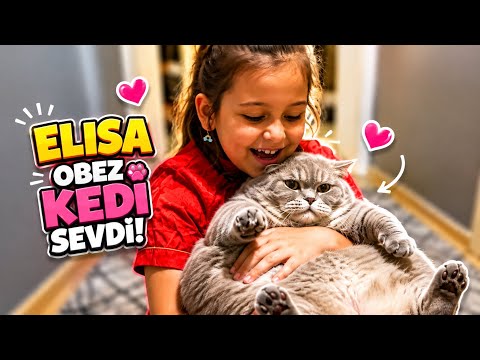 🐱 Elisa Obez Kediyi Sevdi! 😻❤️ 🐱 إليسا أحبت القطة البدينة! 😻❤️