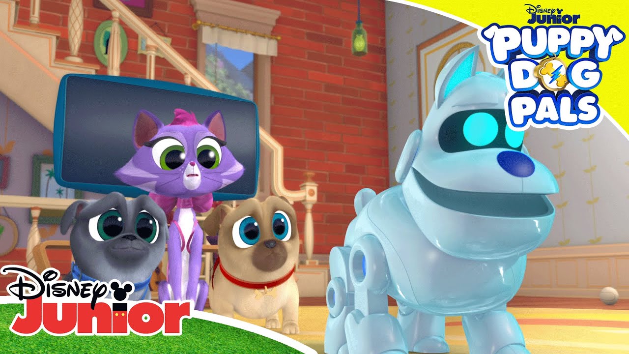 Puppy Dog Pals Arf Big Offers | www.pinnaxis.com