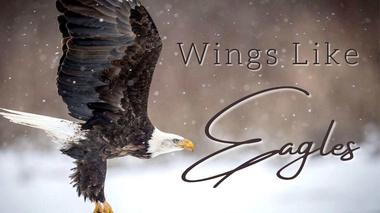 “Wings Like Eagles" Rev. Rodney Saunders - YouTube