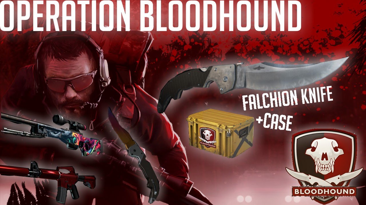 Cs:Go Operation Bloodhound + 10 Flachion Case Opening - YouTube