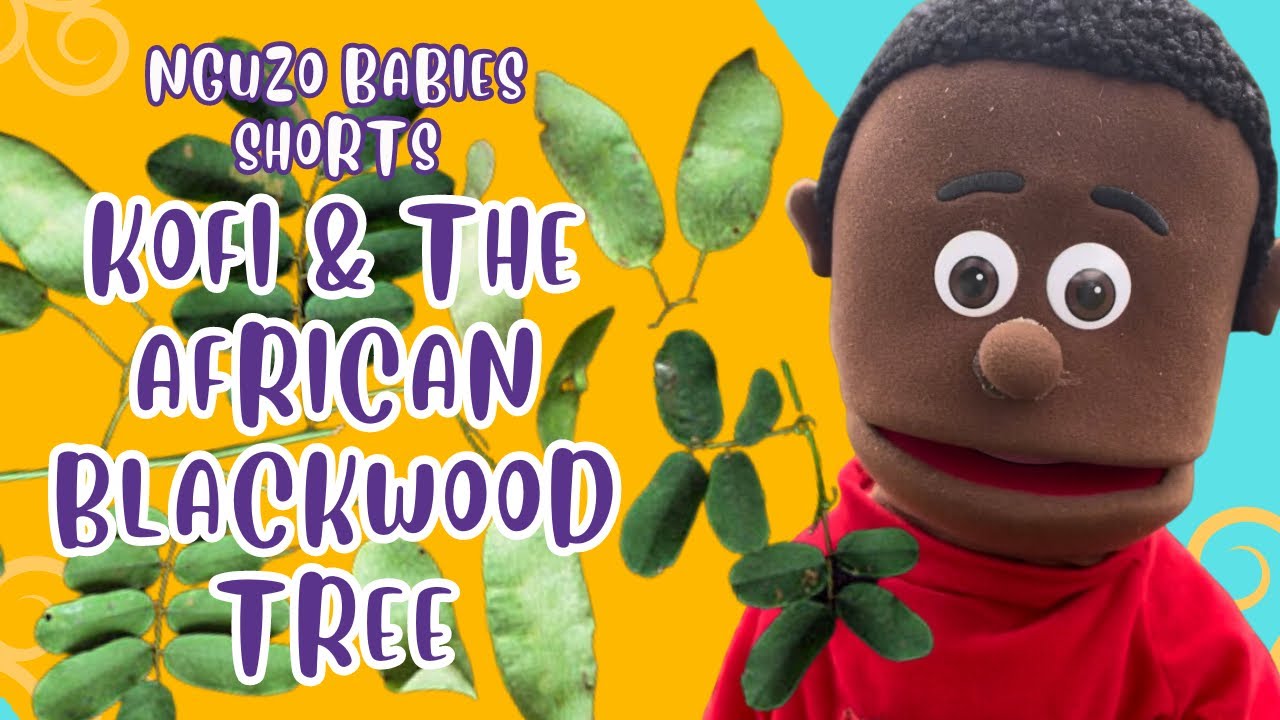 Nguzo Babies: Kofi & the African Blackwood Tree | Kindergarten Science ...
