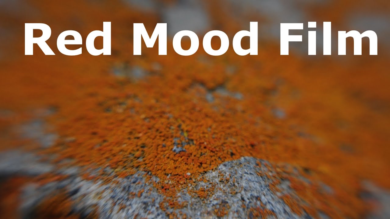 Red Mood Film - YouTube