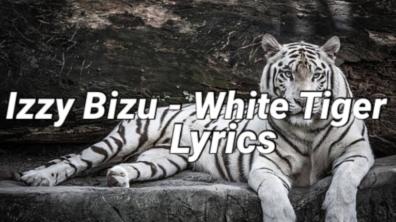 Izzy Bizu - White Tiger (Lyrics) - YouTube