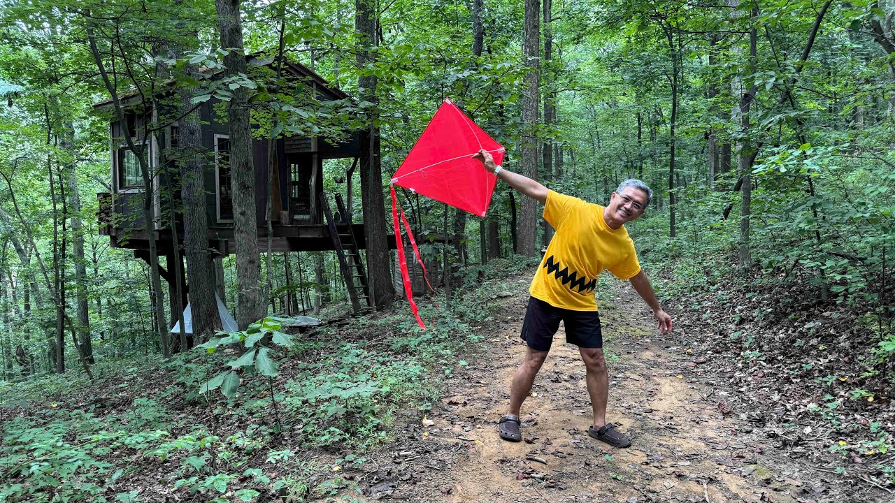 Treehouse Solitude: A Jacob Collier-Inspired Escape - YouTube