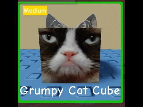 how to get grumpy cat cube in find the floppa morphs roblox - YouTube